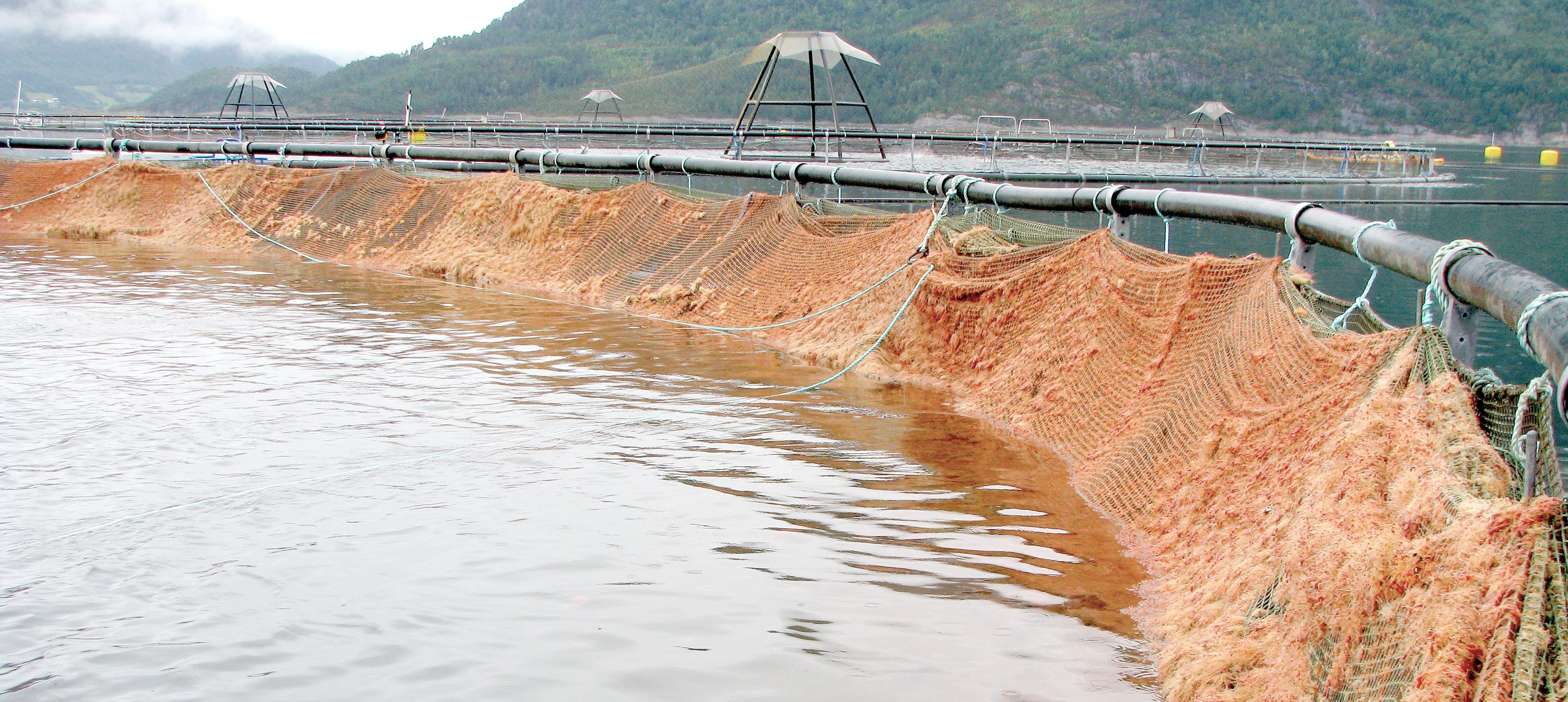 Innovasjon i rengjøring | iLaks