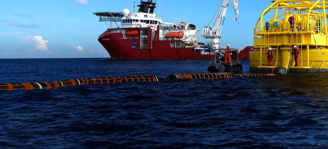 Kronår for Møgster | iLaks