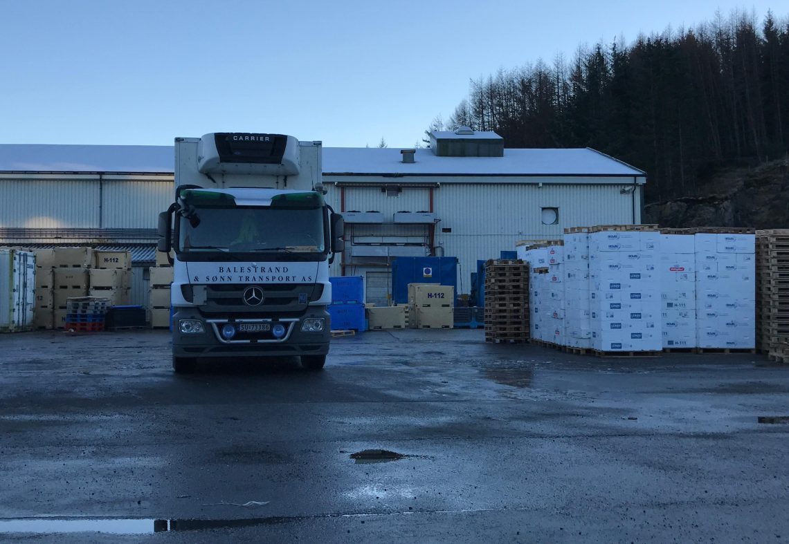 Fjoråret ga den laveste laksepris siden pandemien. Hvordan går det i ...