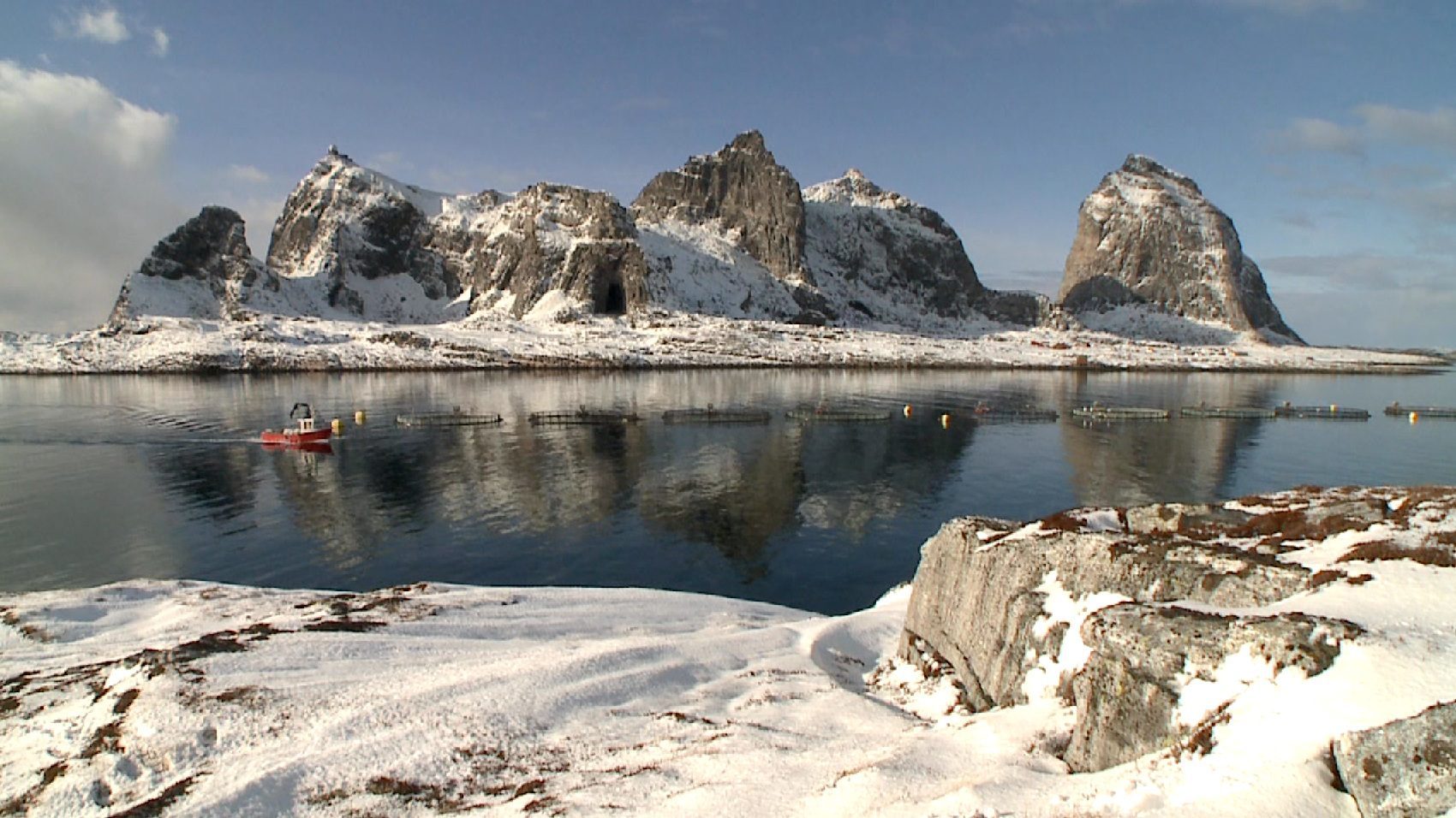 Nei, en kald vinter er ikke en «svart svane» | iLaks