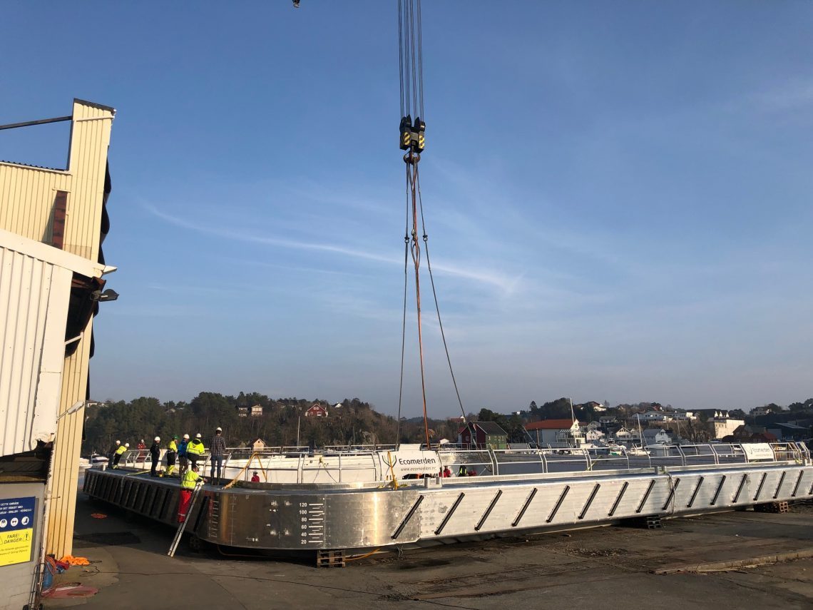 Osland vil holde stamfisk i nyutviklet lukket merd | iLaks