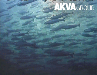 320x250_Sterner_Modulbasert-RAS-system | iLaks