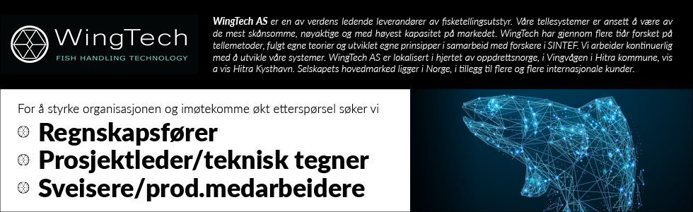 Wingtech_nett+tablet | iLaks