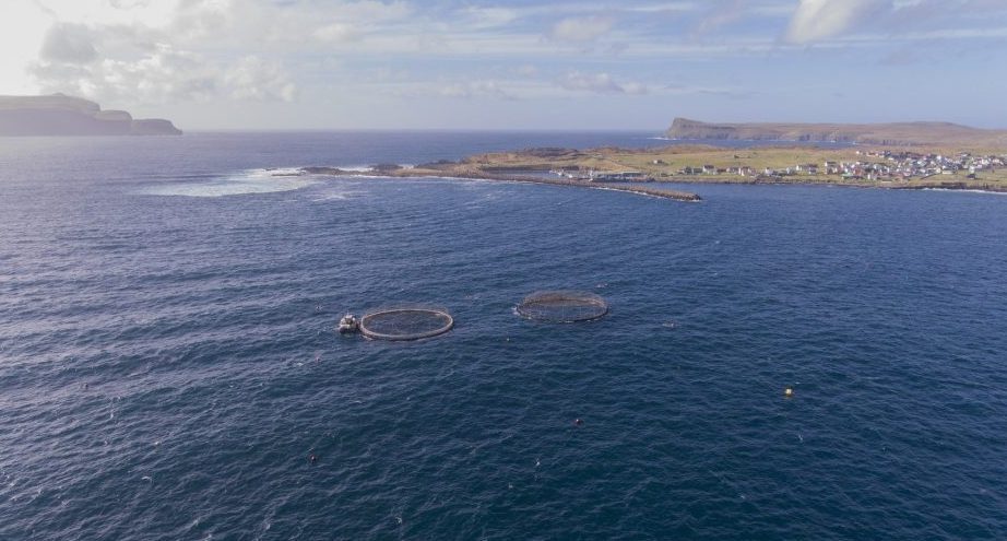 20.000 laks rømte fra Mowi-anlegg | iLaks