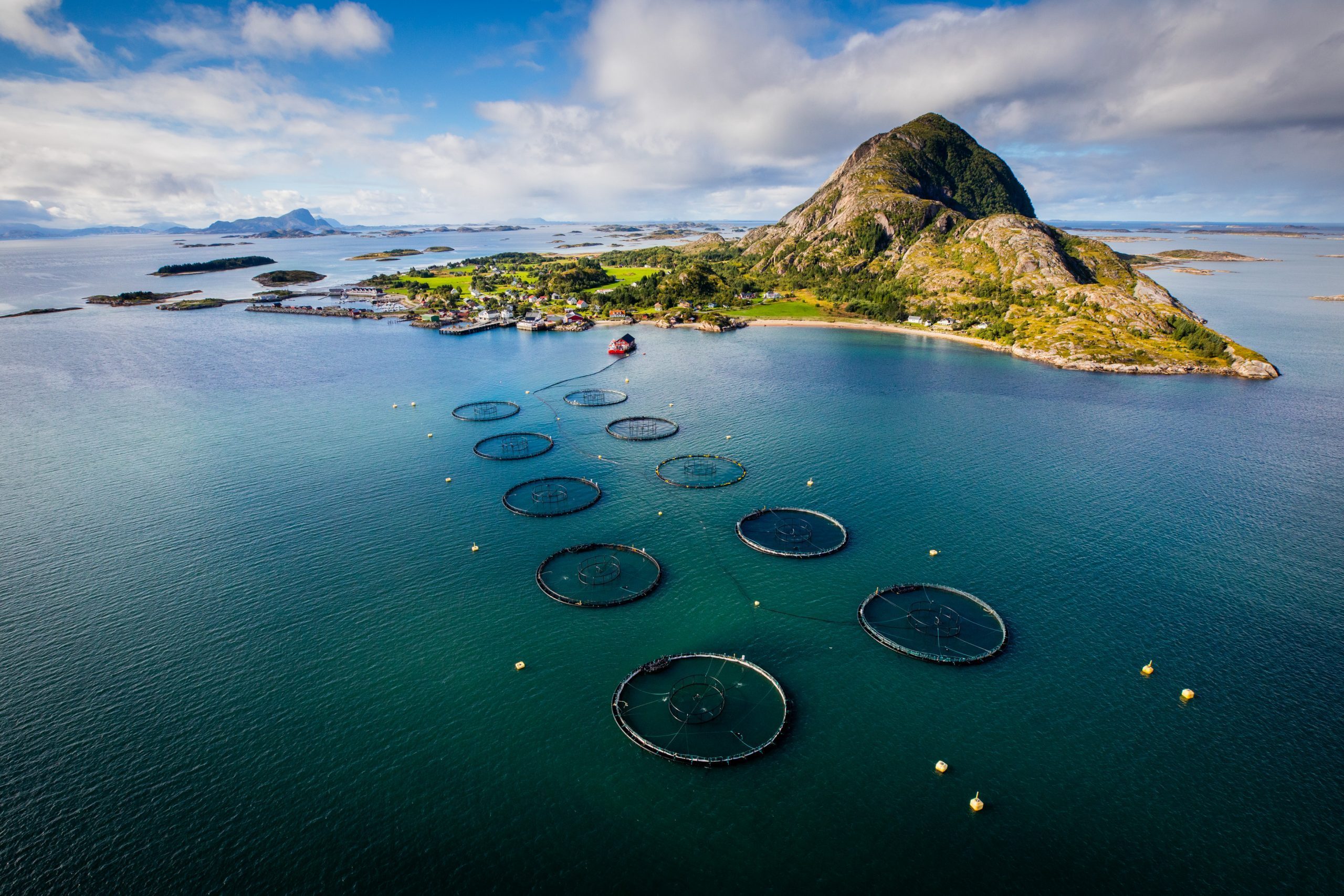 Vigner Olaisen deler ut storutbytte – til tross for halvert overskudd ...