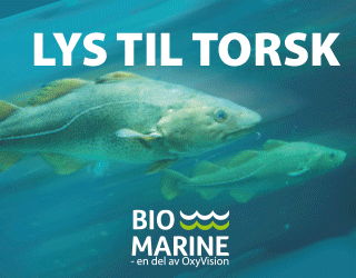 Biomarine_320x250-lys-ilaks | iLaks