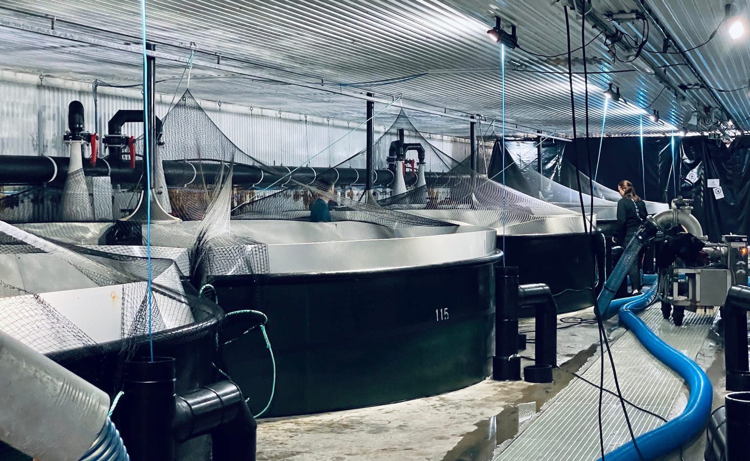 Fishbase og Grytåga Settefisk lander NRS-avtale for en kvart milliard ...