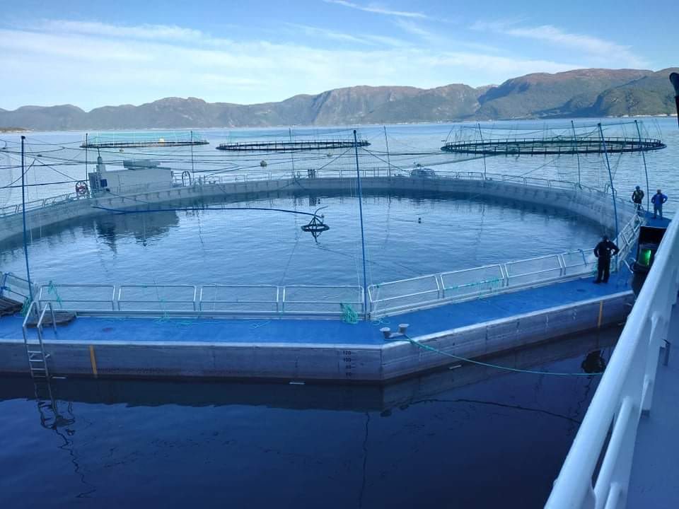 Et krav om lukkede merder vil koste Firda Seafood halvannen milliard ...