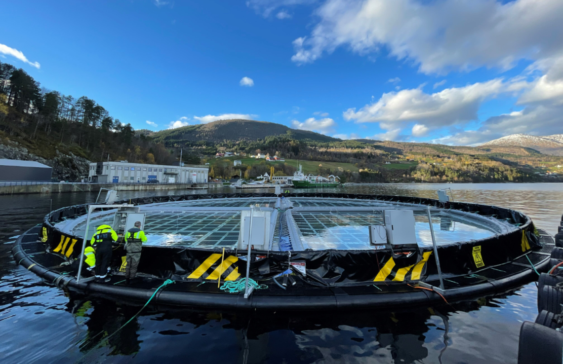 Inseanergy vil hente 30 millioner kroner gjennom crowdfunding | iLaks