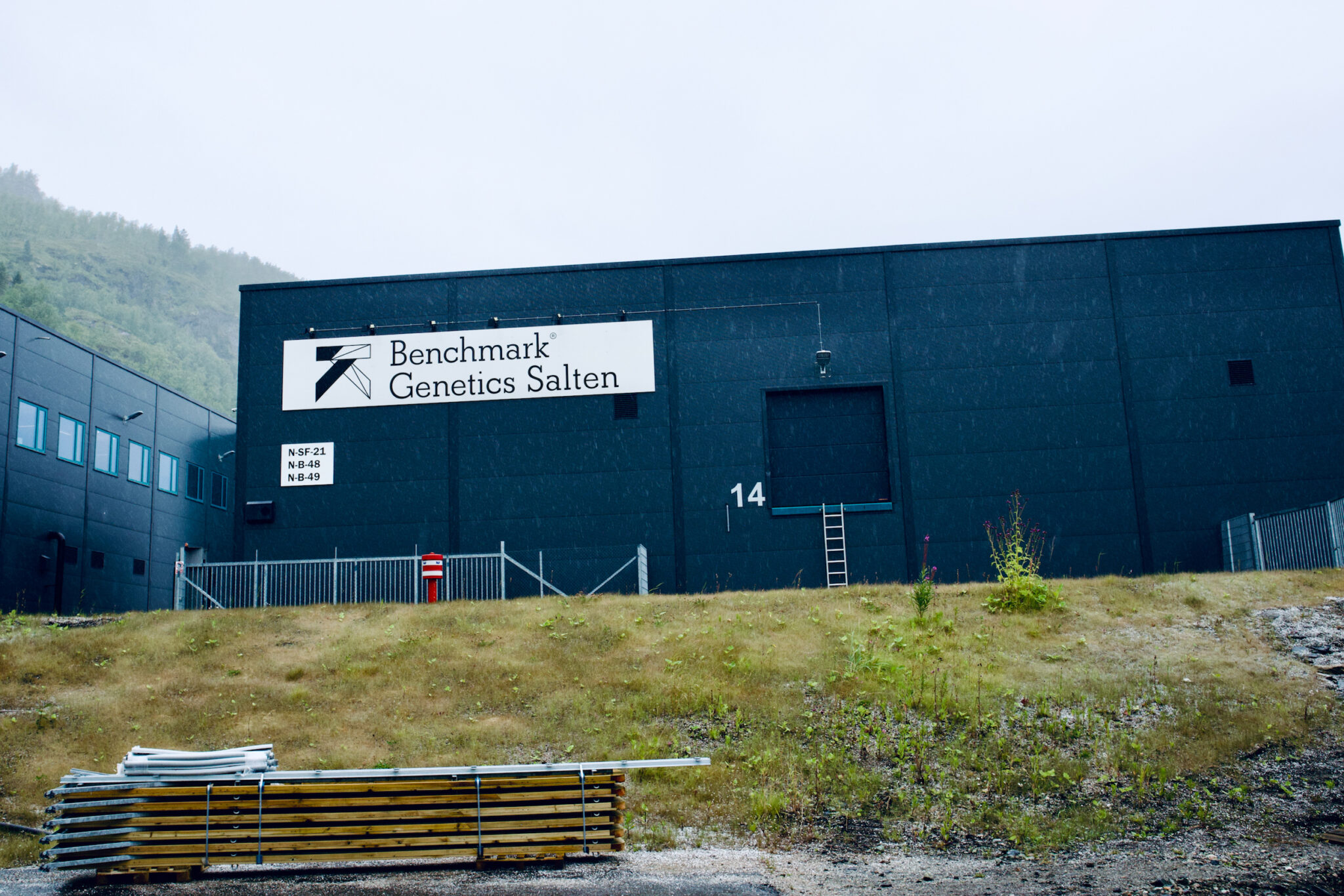 ILA-mistanke ved stamfisk hos Benchmark Genetics Salten | iLaks