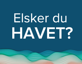 Miljoradgiver-2 | iLaks