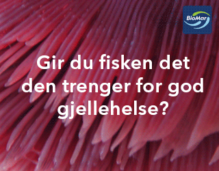 Nofima-webann-2-iLaks | iLaks