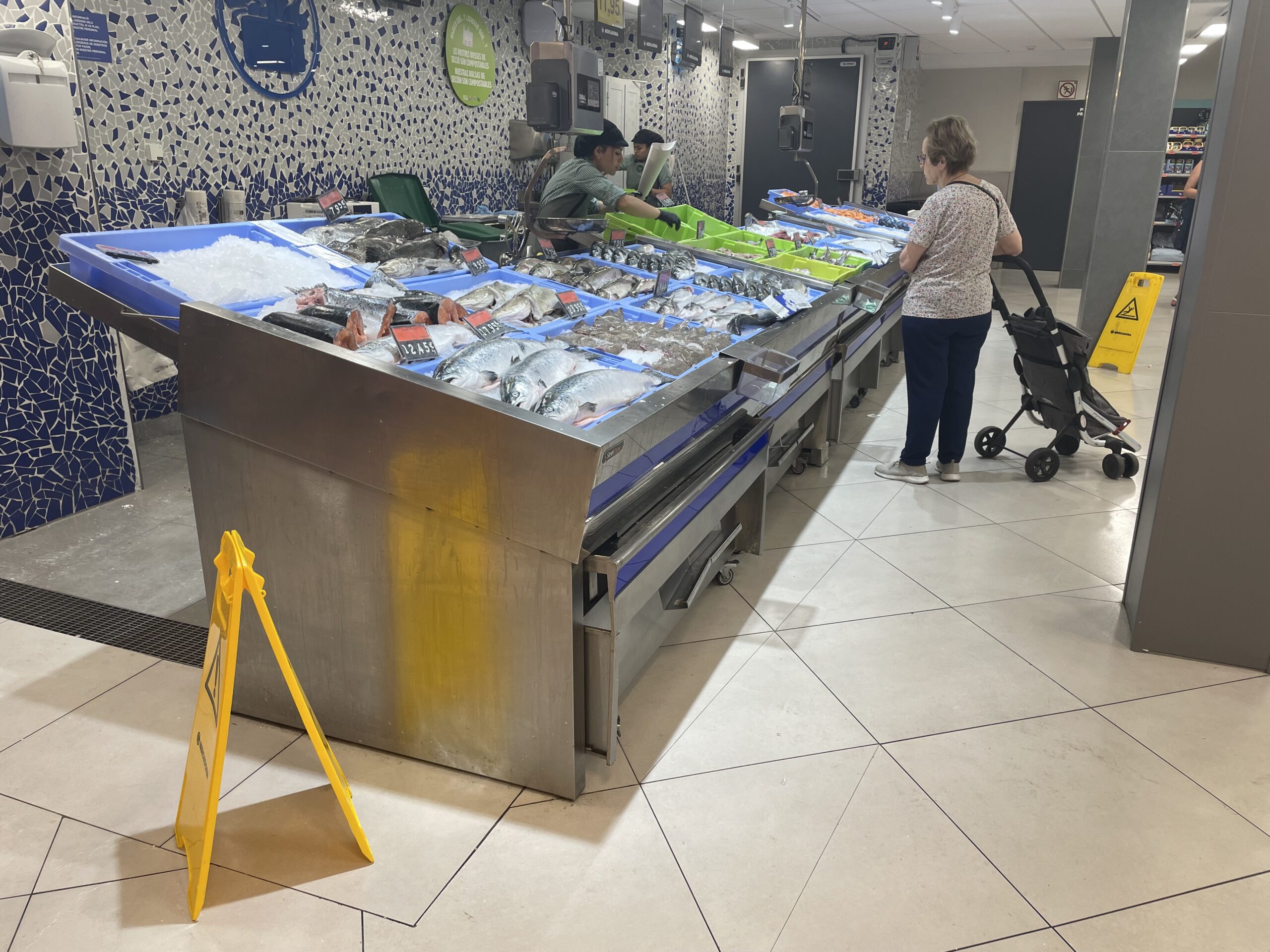 IMG-2816 (1) | iLaks