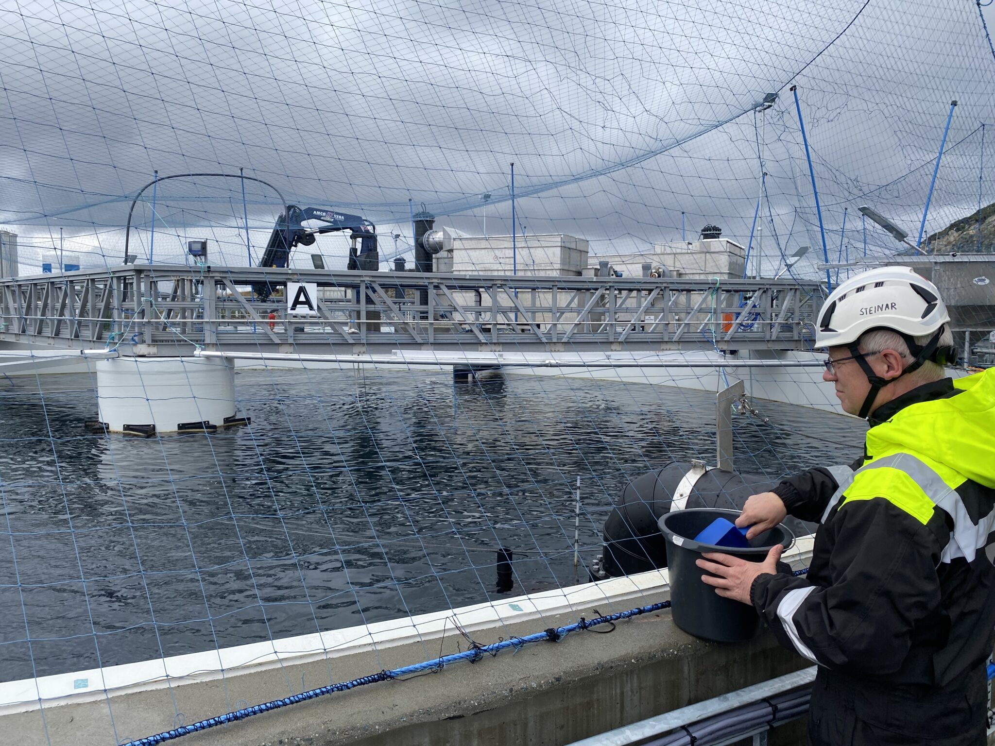 Bue Salmon: – Fisken er jo helt strøken. Og nå begynner den å nærme seg ...
