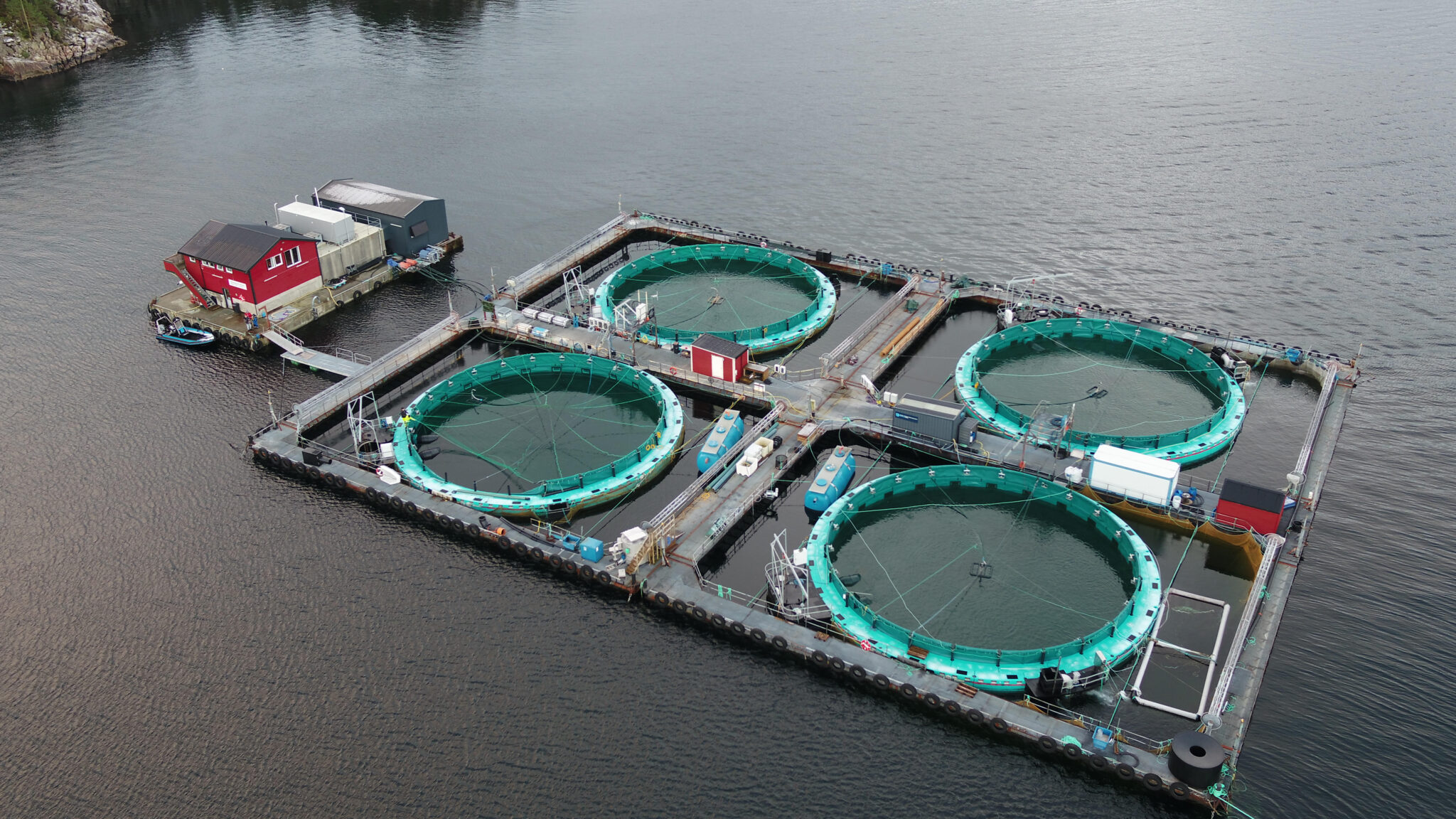 Mener lukkede merder løser mye, men at reglene setter brems | iLaks