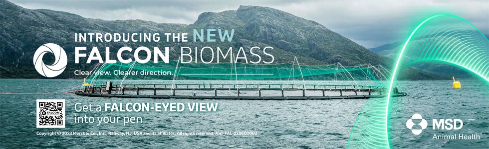 Banner New Falcon Biomass 980×300 | iLaks