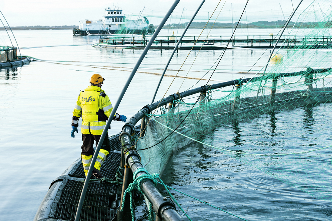 _5MK0776 (1) | iLaks