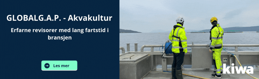 Topboard Ilaks 980 x 300 (1) | iLaks