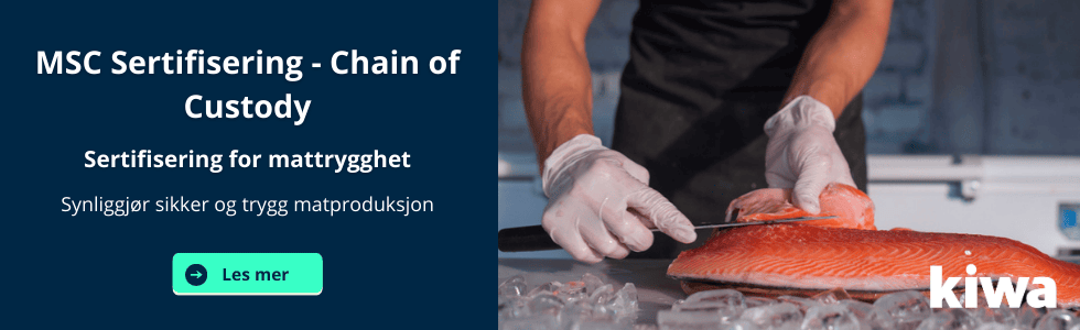 Topboard-Ilaks-980-x-300-MSC—1 | iLaks