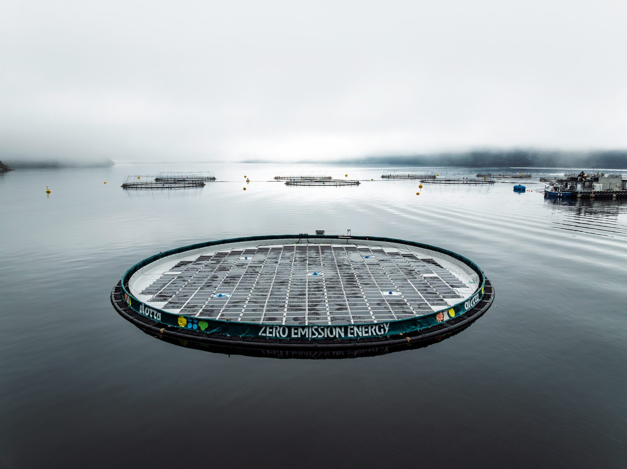 Emilsen Fisk går for nok et solkraftverk fra Alotta: – Dieselaggregatet ...