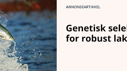 BMK-Genetics_Annonsorinnhold Mobil | iLaks